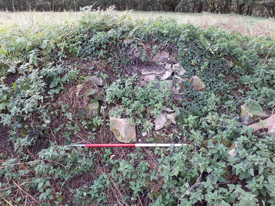 Archaeology and History of Medieval Sherwood Forest: 2017