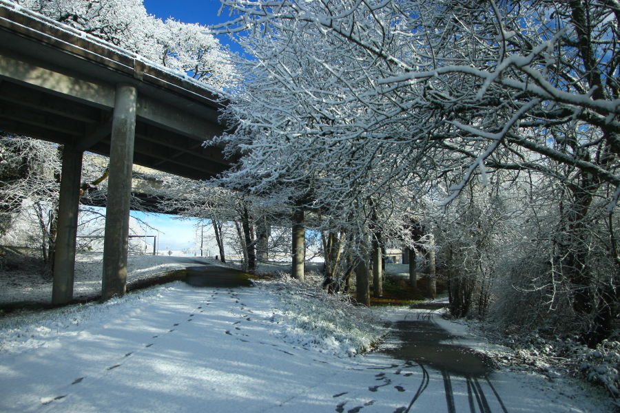 Ethan Erickson Photography: Snow In Corvallis