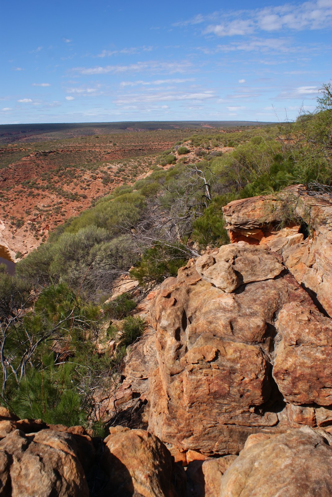 Amelia the explorer: Kalbarri, Western Australia