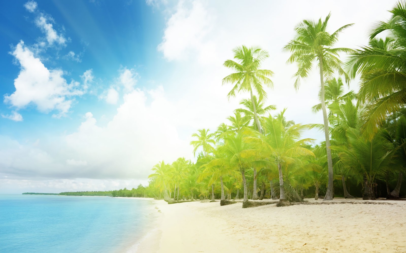 53 Sunny Beach Wallpapers | MagOne 2016