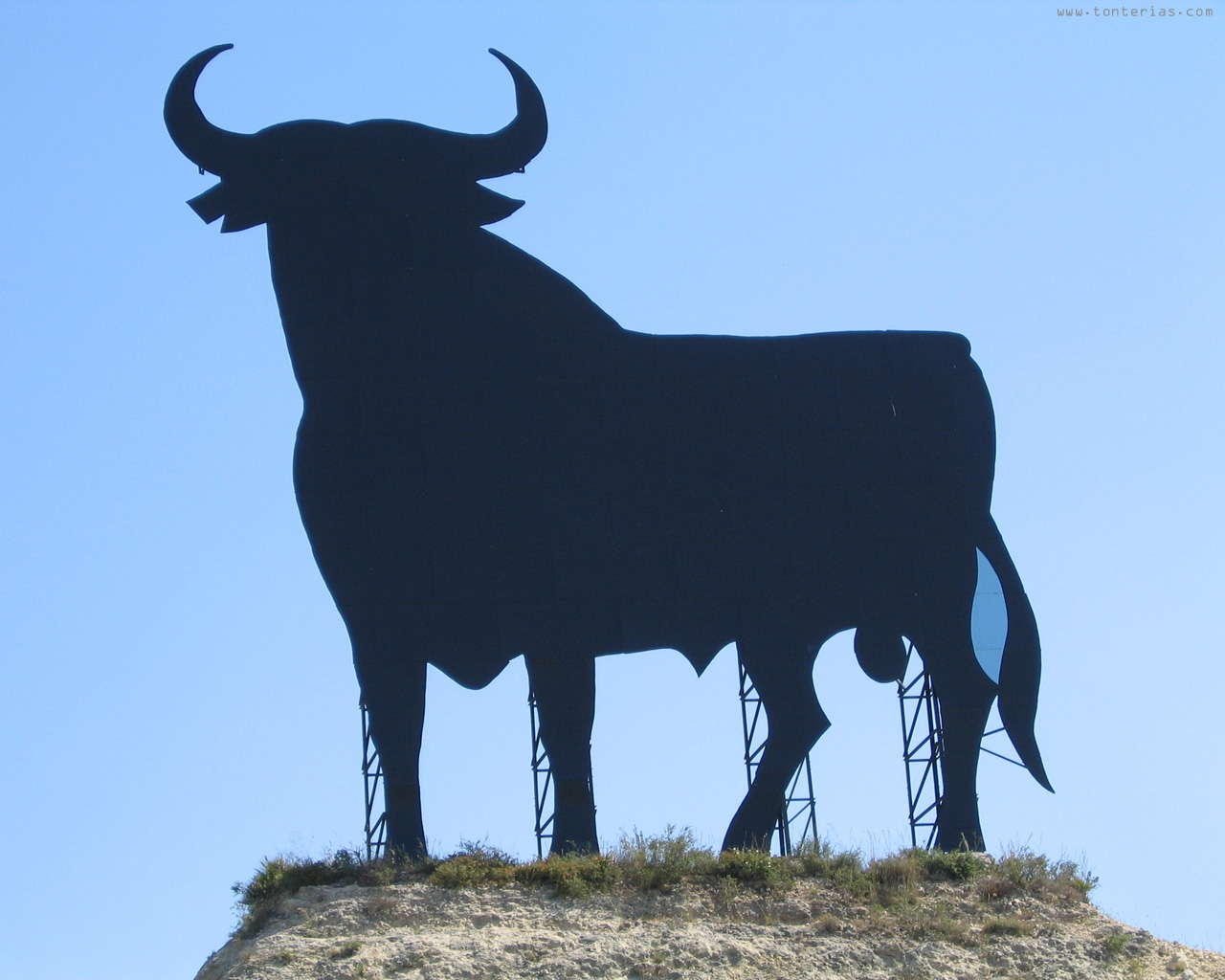 EL BLOG DE XAVIER VALDERAS LÓPEZ: ¿ DÓNDE ESTÁ EL TORO DE ESPAÑA?
