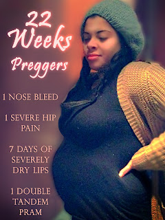 The Mommy Chronicles: Week 22 Bump Update!