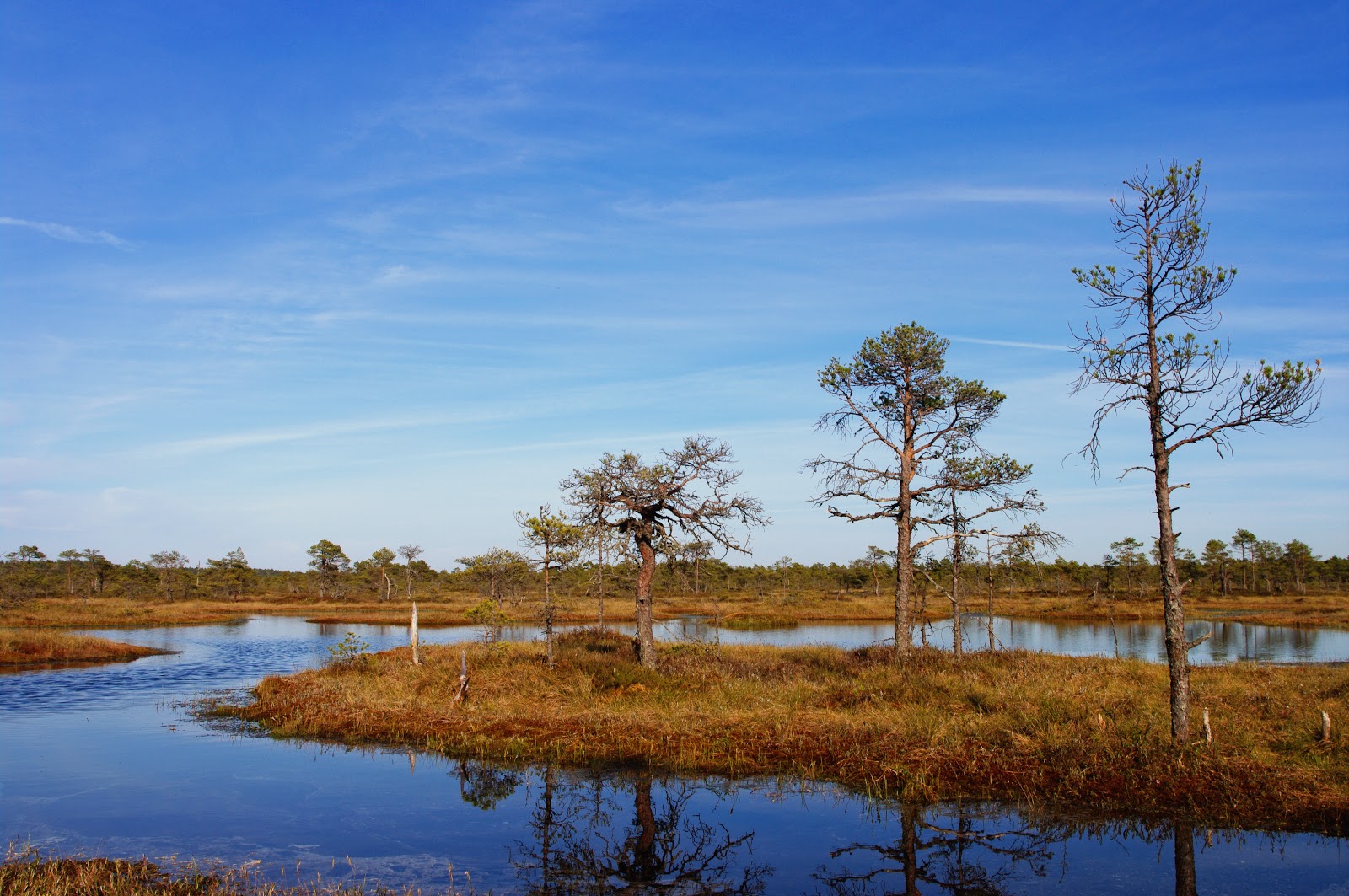 Kalevi pildiblogi: Kakerdaja raba