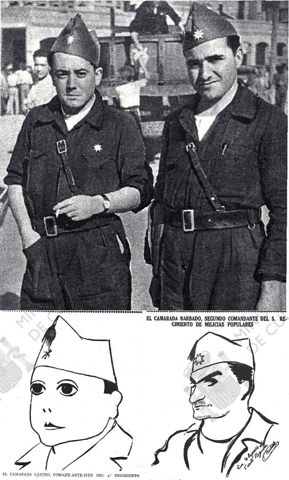 Dehesa de la Villa Naturaleza viva: febrero 2012