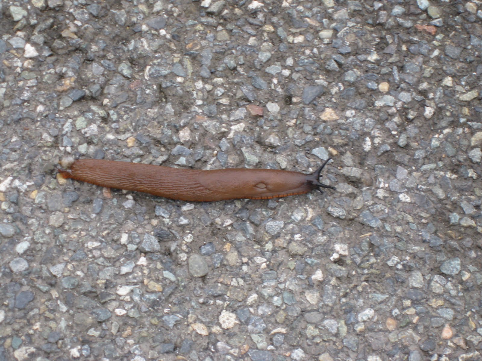 Adventurelaus: Seattle (Puget Sound) Tour - Day 2 & 3