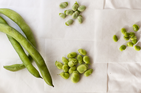 Gourmet Gob: How to double pod broad beans