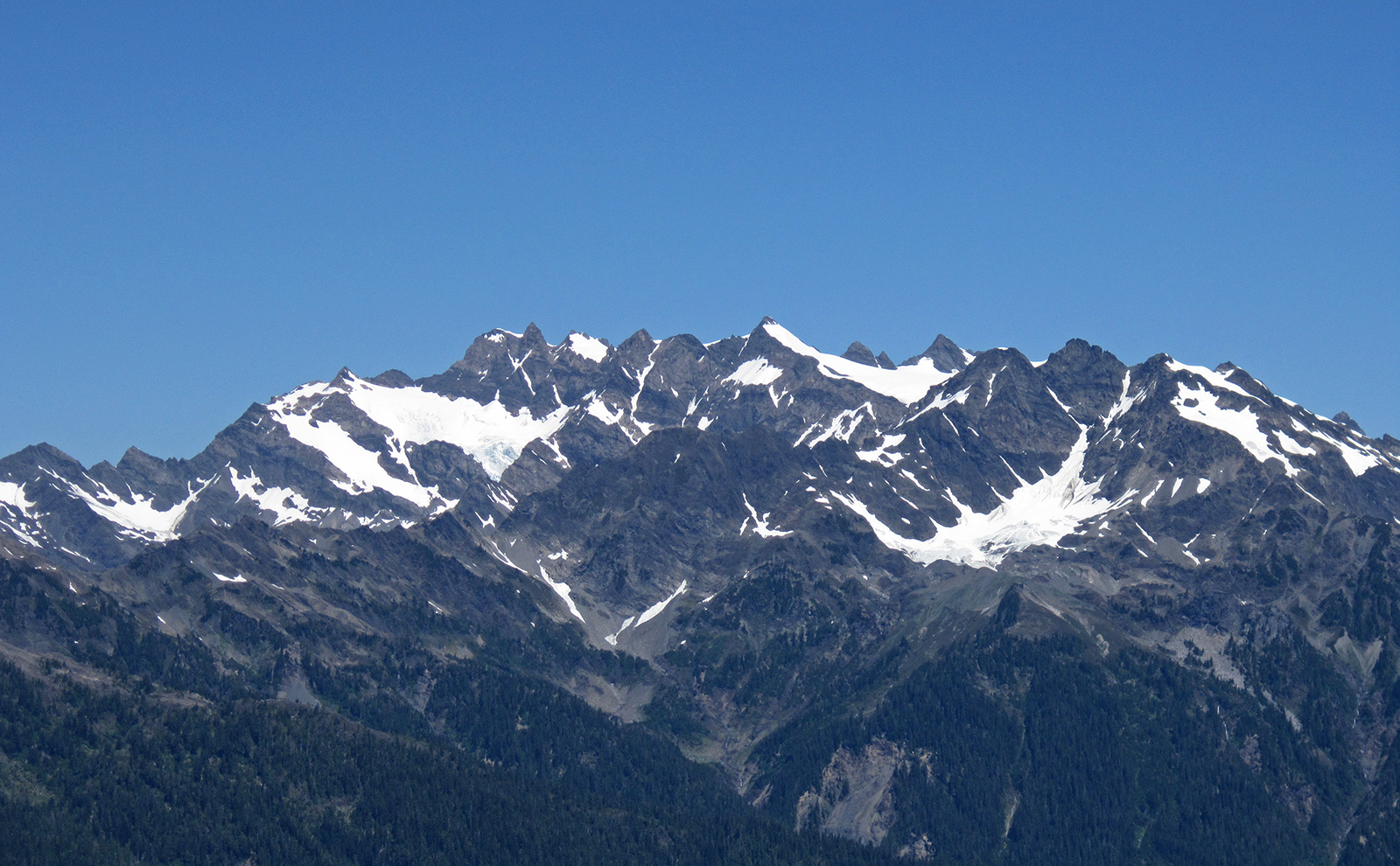 Seeking Ultra: Skyline-North Fork Quinault loop, Olympic National Park