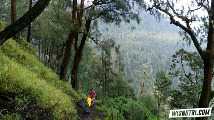 Bulak Peperangan : Sabana Gunung Lawu di Jalur Pendakian via Candi ...