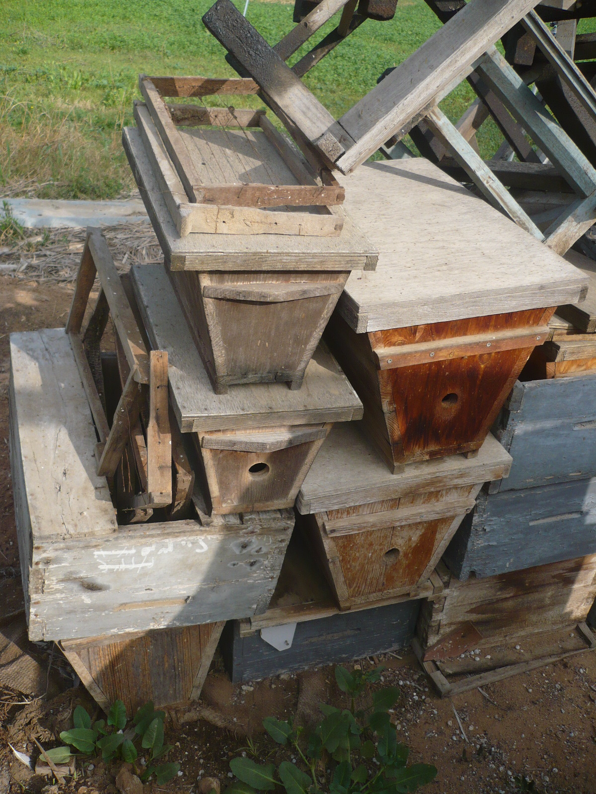A Detour by Way of the Beehive: Modern Egyptian Beekeeping (in Pictures)