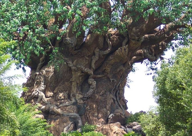 mis gatitos: EL ÁRBOL DE NOÉ.