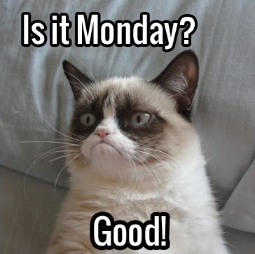 Grumpy Cat Good Morning | Funny Collection World