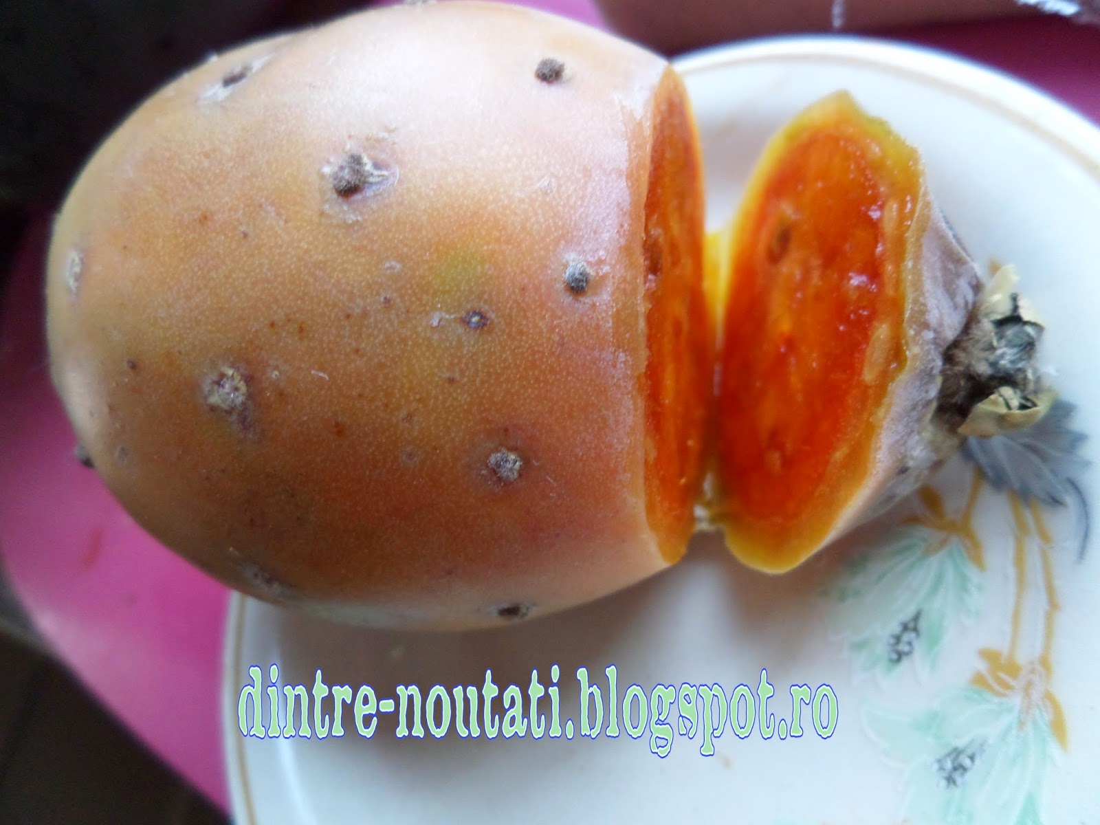 Fructele de cactus | D-Nblog. Păreri sincere despre produse noi.Testez ...