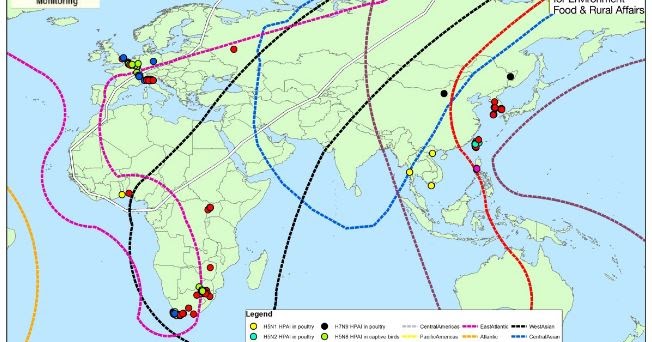 Avian Flu Diary: DEFRA: HPAI H5N8 In Europe - Update #15