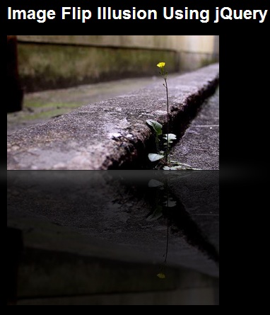 5 jQuery Flip Effect Plugin Example Tutorials - ASP.NET,C#.NET,VB.NET,JQuery,JavaScript,Gridview