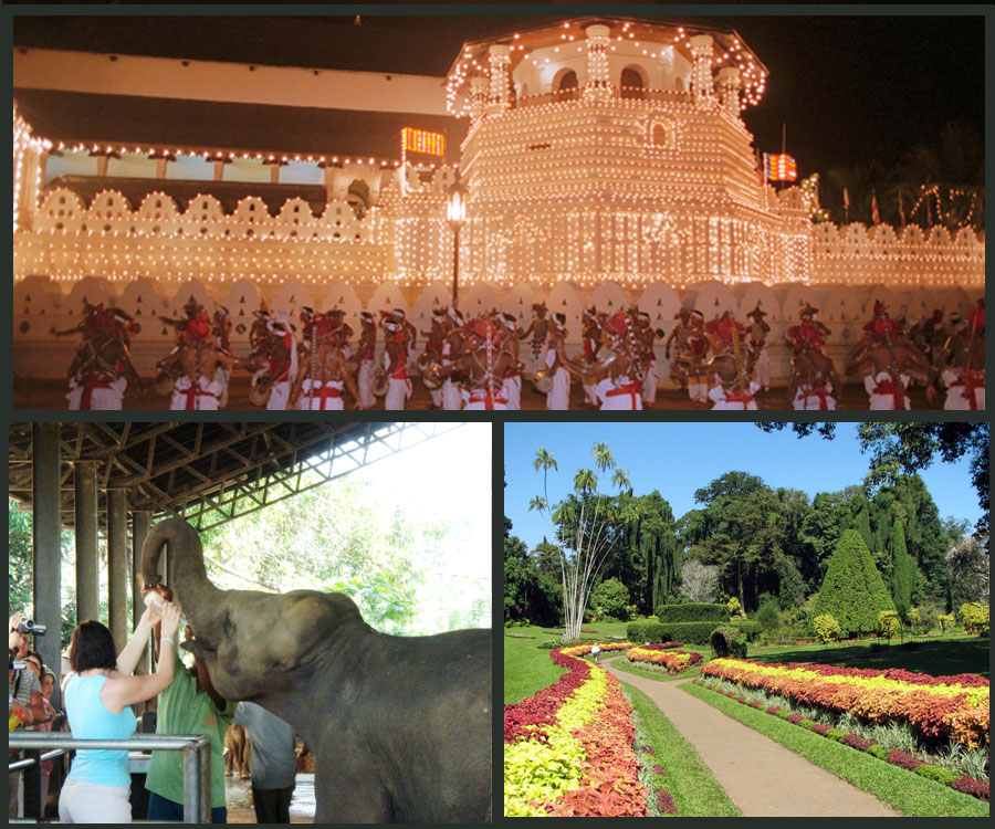 Day Tours in Sri Lanka: Kandy & Pinnawala Elephant Orphanage