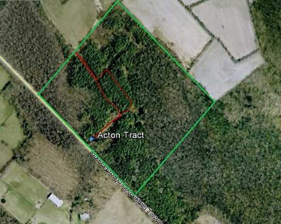 Hiking in Ontario: Acton Tract - Halton Regional Forest