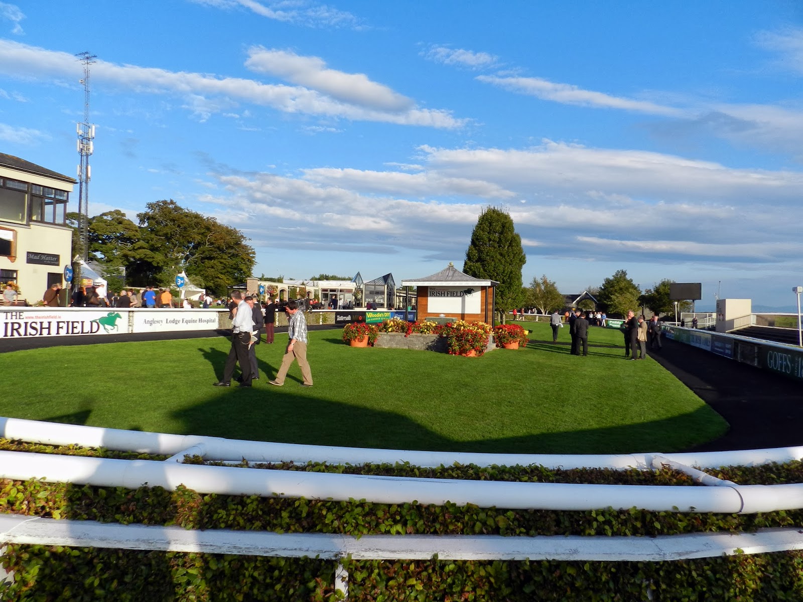 Irish Cultural Blog: The Curragh Racecourse Co. Kildare, Ireland