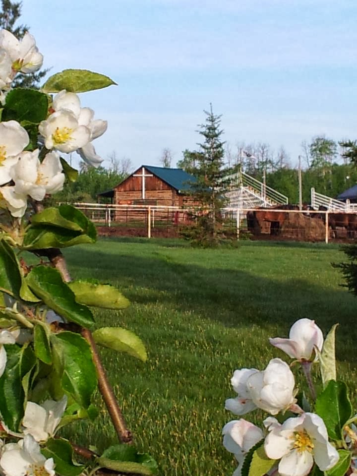 The Heart of Birch Bay Ranch: September 2013