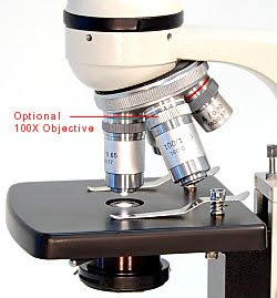 Omano OM136C Monocular Compound Microscope | MicroscopeX