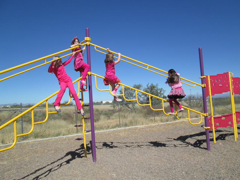 Sierra Vista Sister-Franciscan: Human Velcro