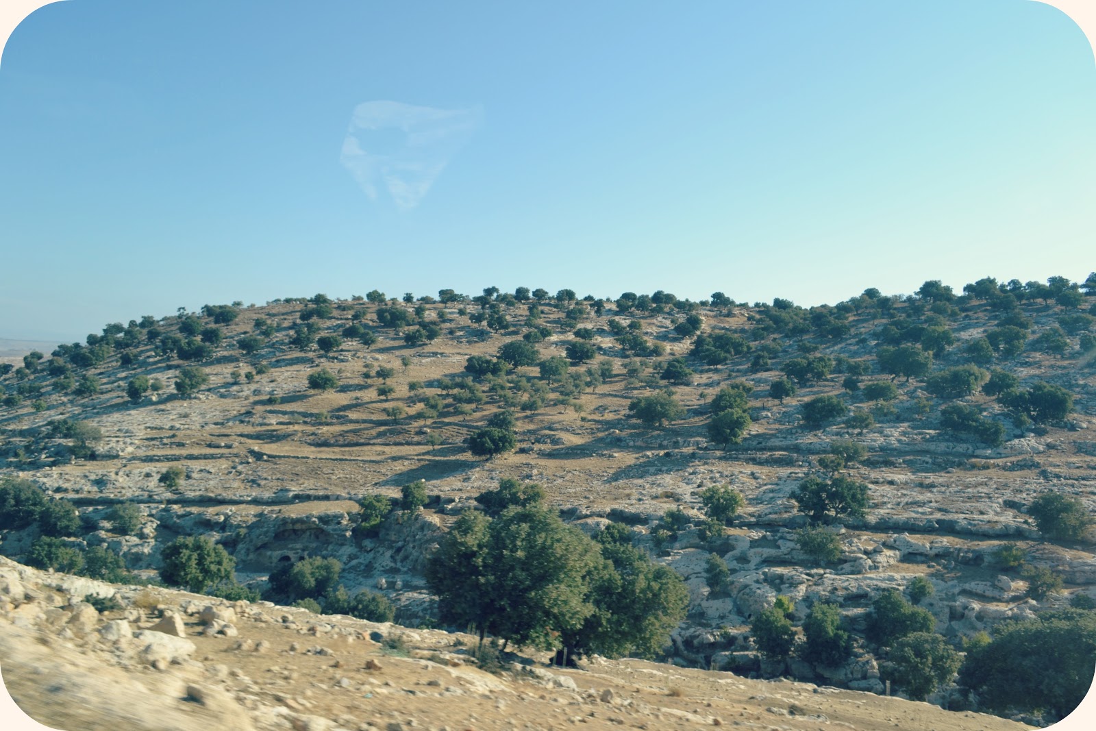 Walking Slow,: Ma'rakah Yarmouk - The Yarmouk War Battlefield