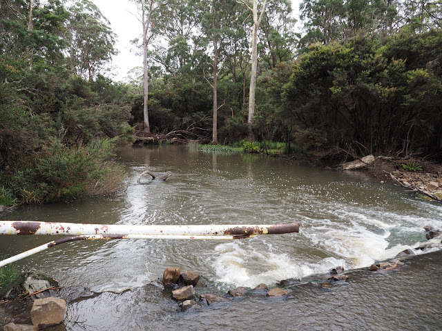 Tooms Lake | Hiking South East Tasmania