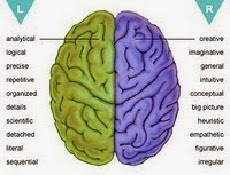 Fungsi Otak Kiri Dan Otak Kanan Pada Manusia - JUARA SATU