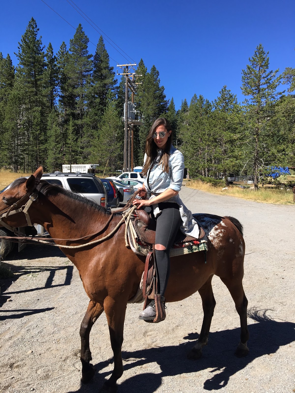 Alpine Meadows | FASHinNY