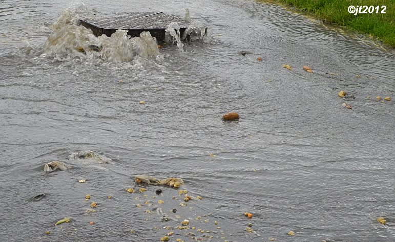 Simply Superb Swans: Riverside Pollution...Again !....UPDATE