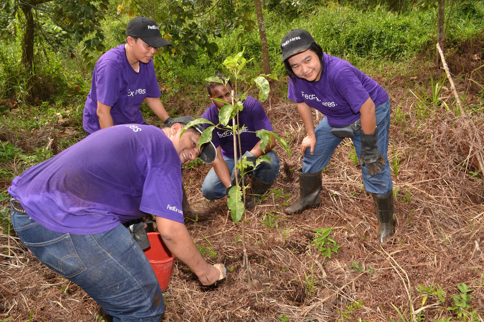 The GEC Blog : Tree Planting Activities in May 2013