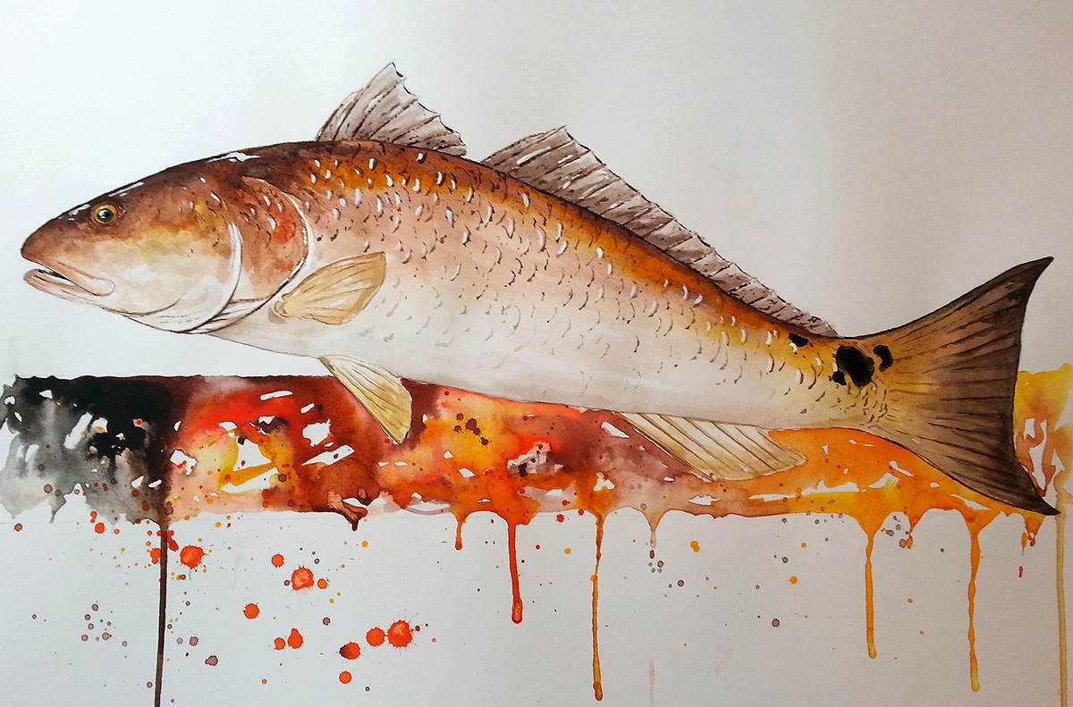 A Year On The Fly: Red Drum (Red Fish) Painting