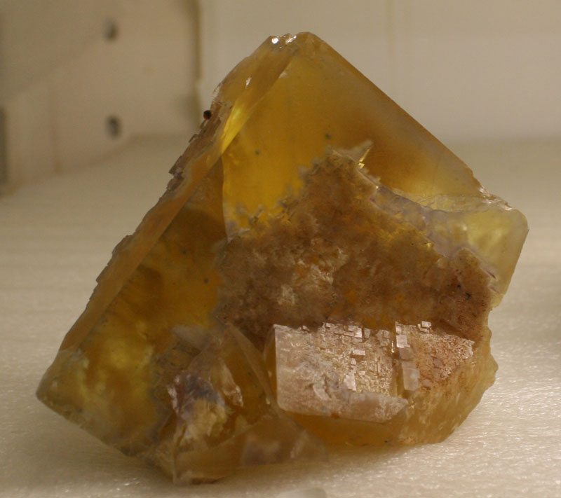 Louisville Fossils and Beyond: 05/01/2011 - 06/01/2011