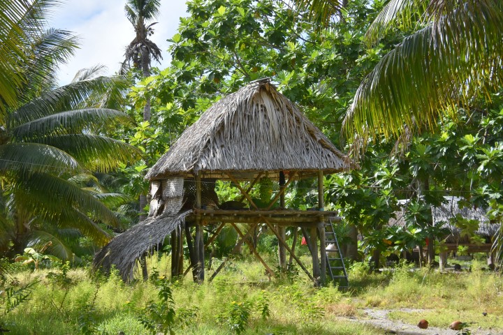 World Adventures: Tales of the South Pacific, Day 20, Tabuaeran ...