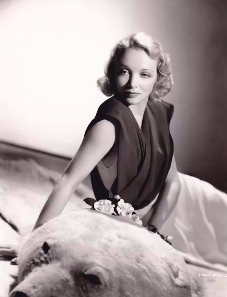 Film Noir Photos: Lions and Tigers and Bears, oh my!