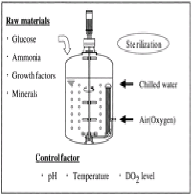 Mr. Windu dot Com: The Process of Making Monosodium Glutamate (MSG)