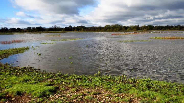 Vinnyman's Birding and Nature Blog.: Middleton Lakes, RSPB Nature ...