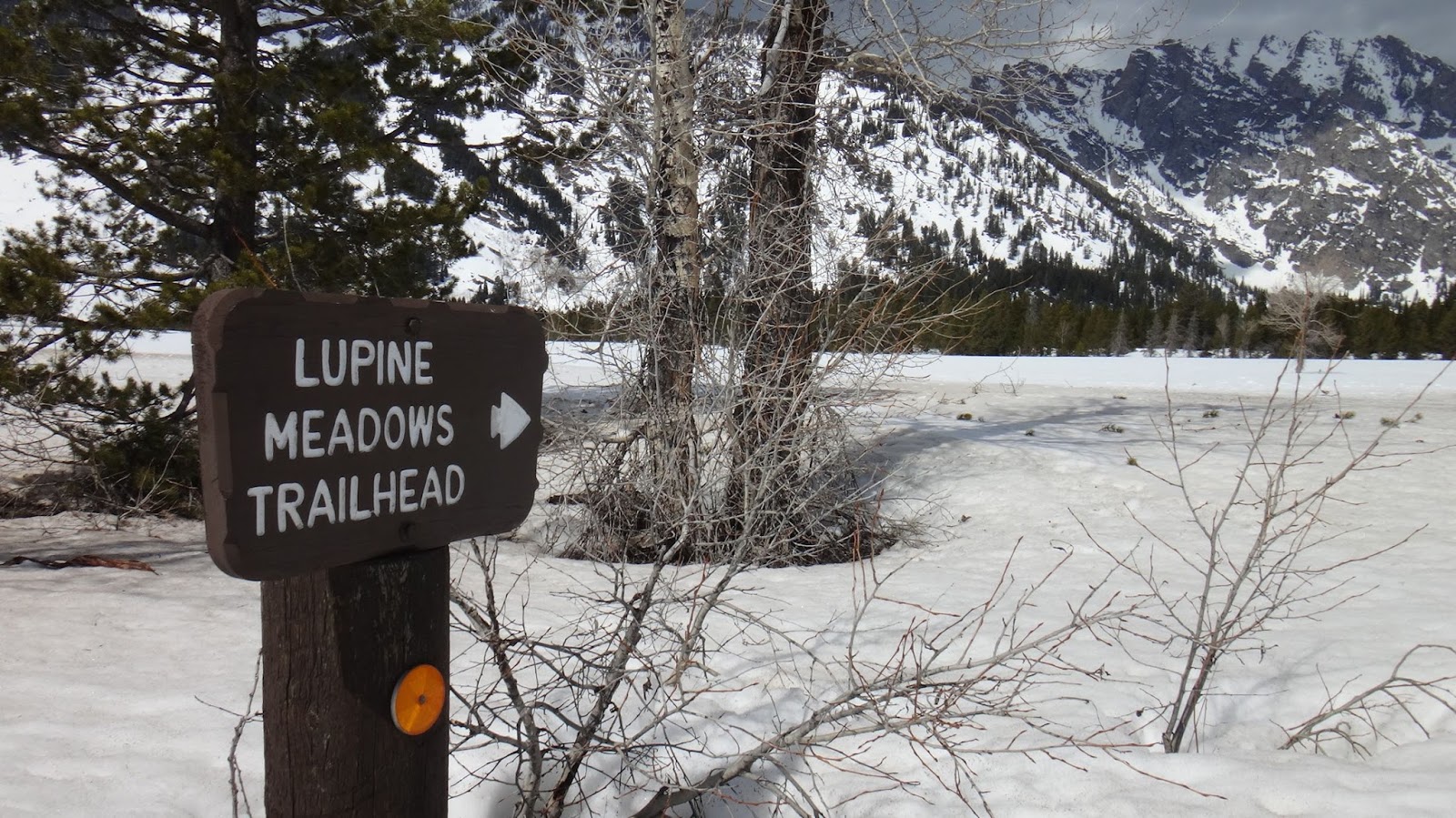 WYOMING WHISKEY: Lupine Meadows Trailhead