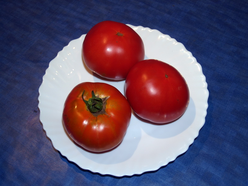 Verde y Cordial: Menos lluvia y más tomate