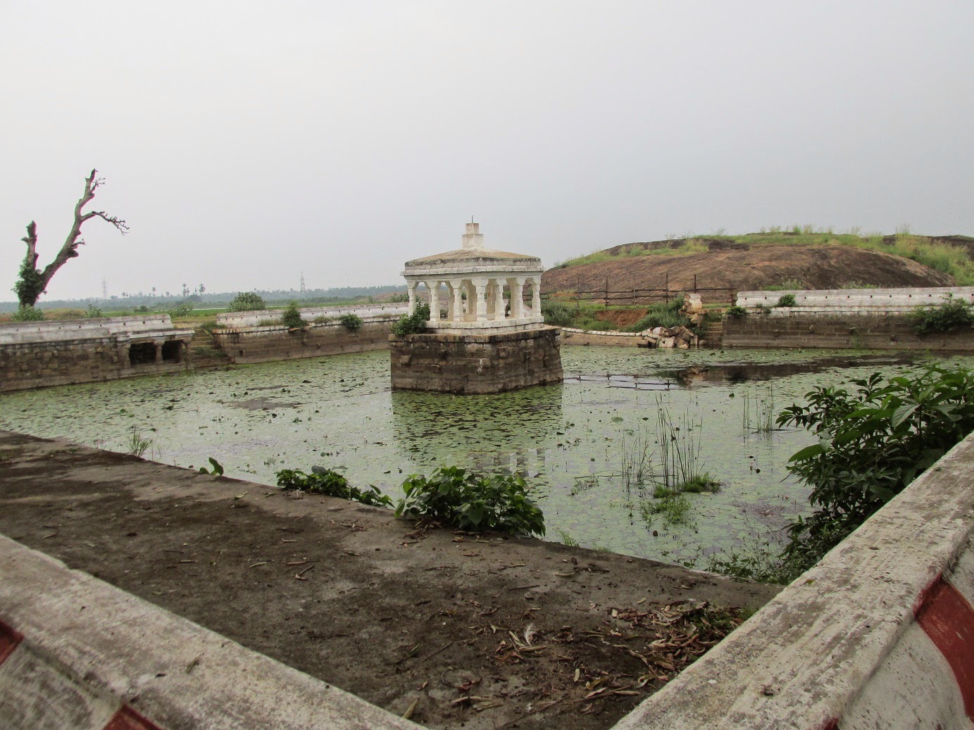 Tamilnadu Tourism: Nitya Kalyani Temple (Vilva Vananatha Swamy Temple ...