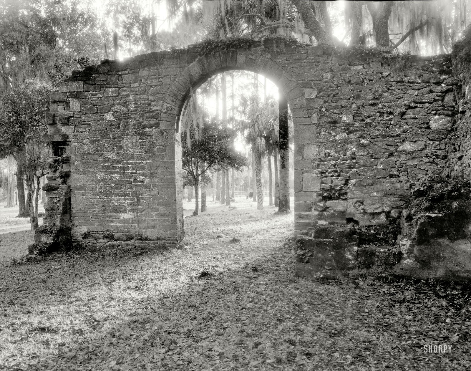 Árboles y Edificios: Ruins of monastery, New Smyrna. Mission Atocuimi ...