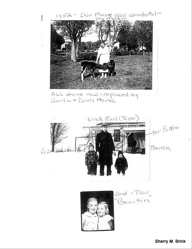 Sherry Brink's Family History - Free Memories: Baumann Photos