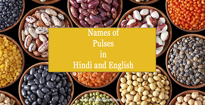 List / Names of Pulses in Hindi and English - eEnglishGrammar.com