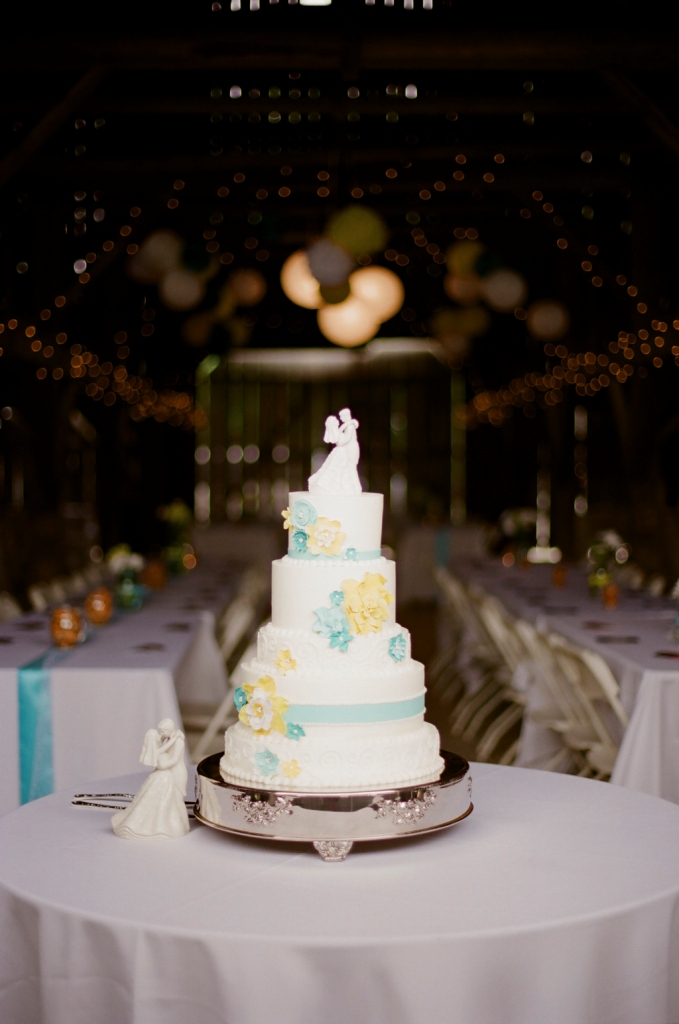 casting my cares: Mr. & Mrs. !!!!!! - Part 6 - Reception - Cakes & Toasts