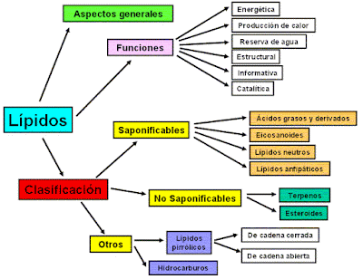 Bioquímica 2016
