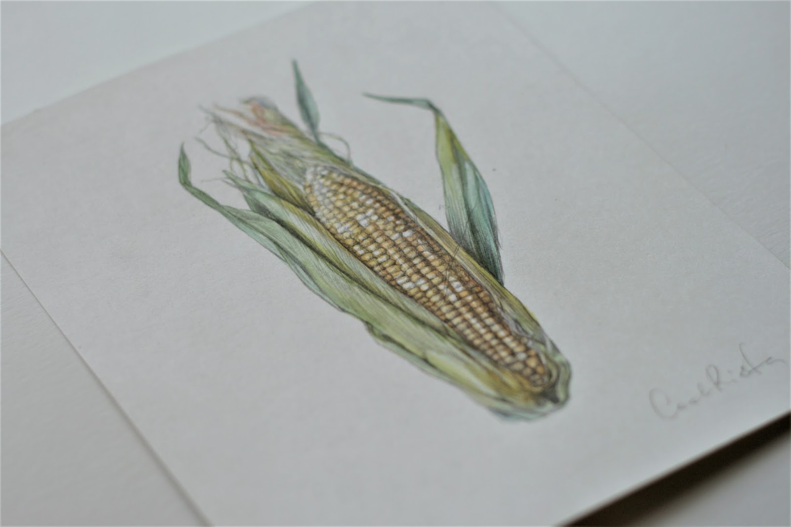 COOLRISTA: 100 Days of Drawing N-Day 22 COOLRISTA: 100 Days of Drawing N-Day 22