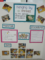 Ms.M's Blog: Science Fair Projects