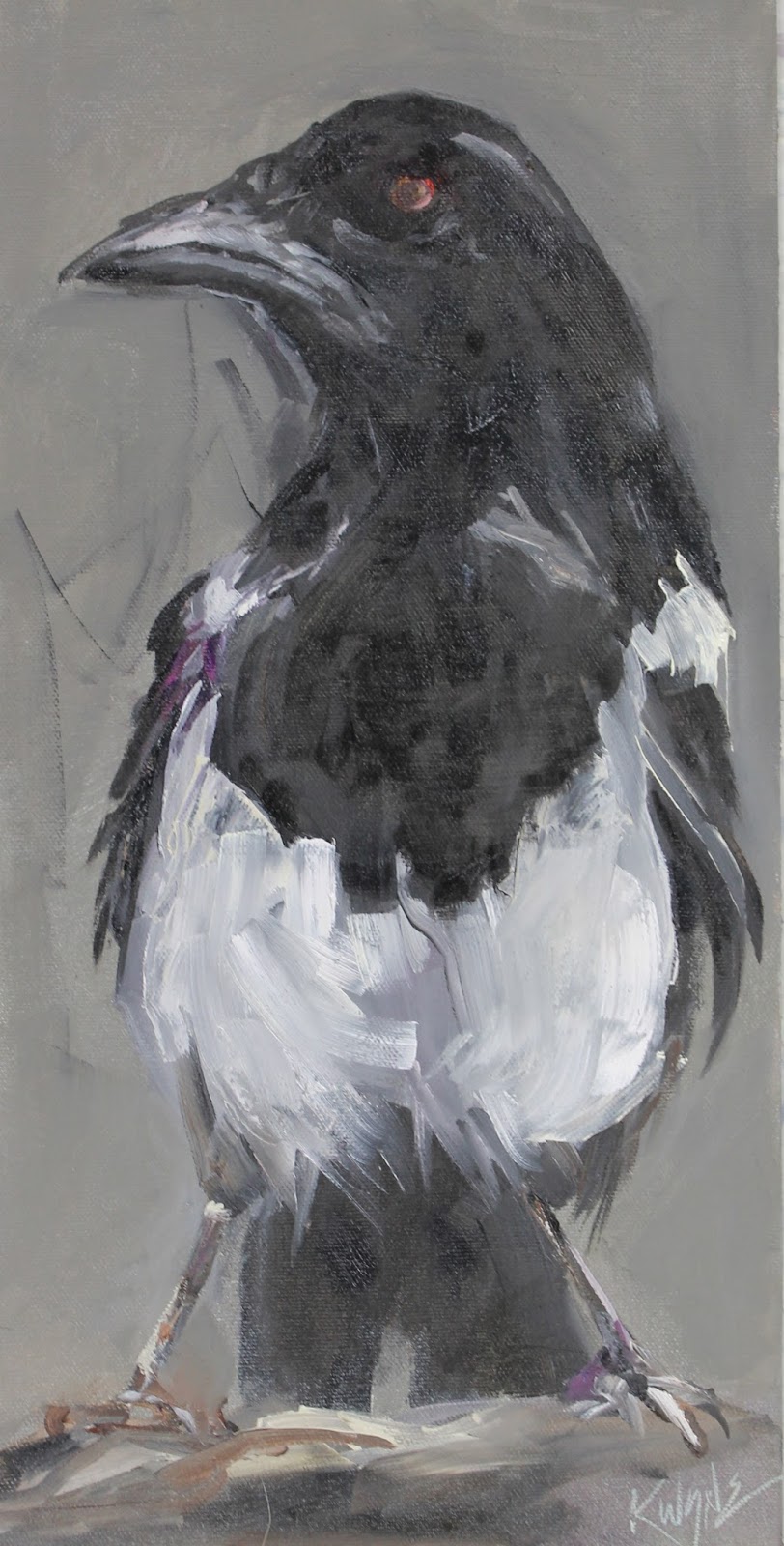 Kay Wyne Fine Art Blog: Angry Magpie - NFS - by Kay Wyne