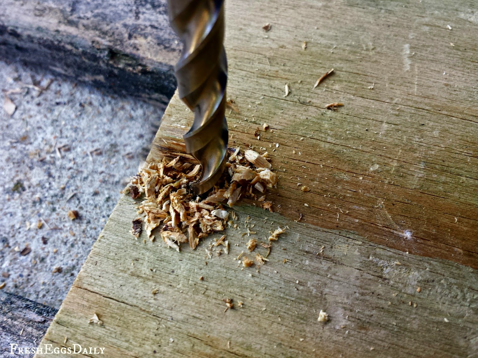 DIY Wood and Wire New England Clam Hod Egg Basket - Fresh Eggs Daily ...