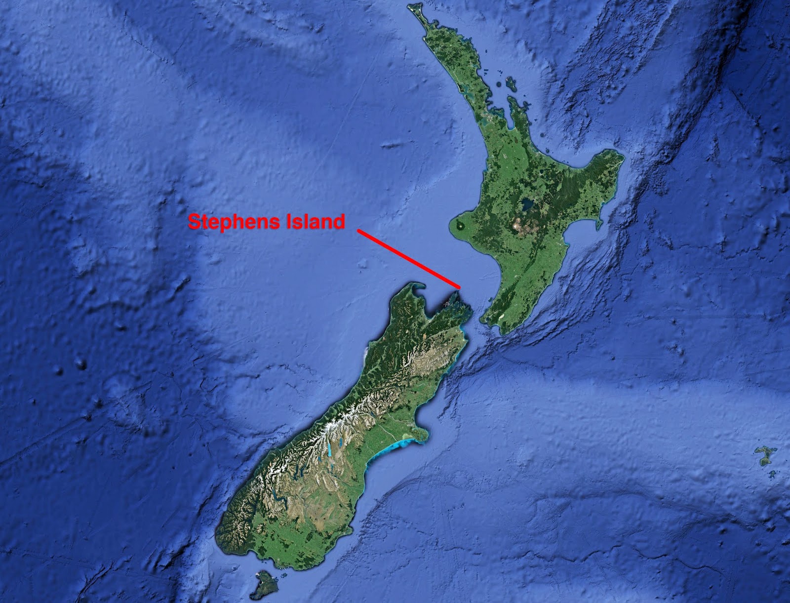 Zoology Jottings: March 2019