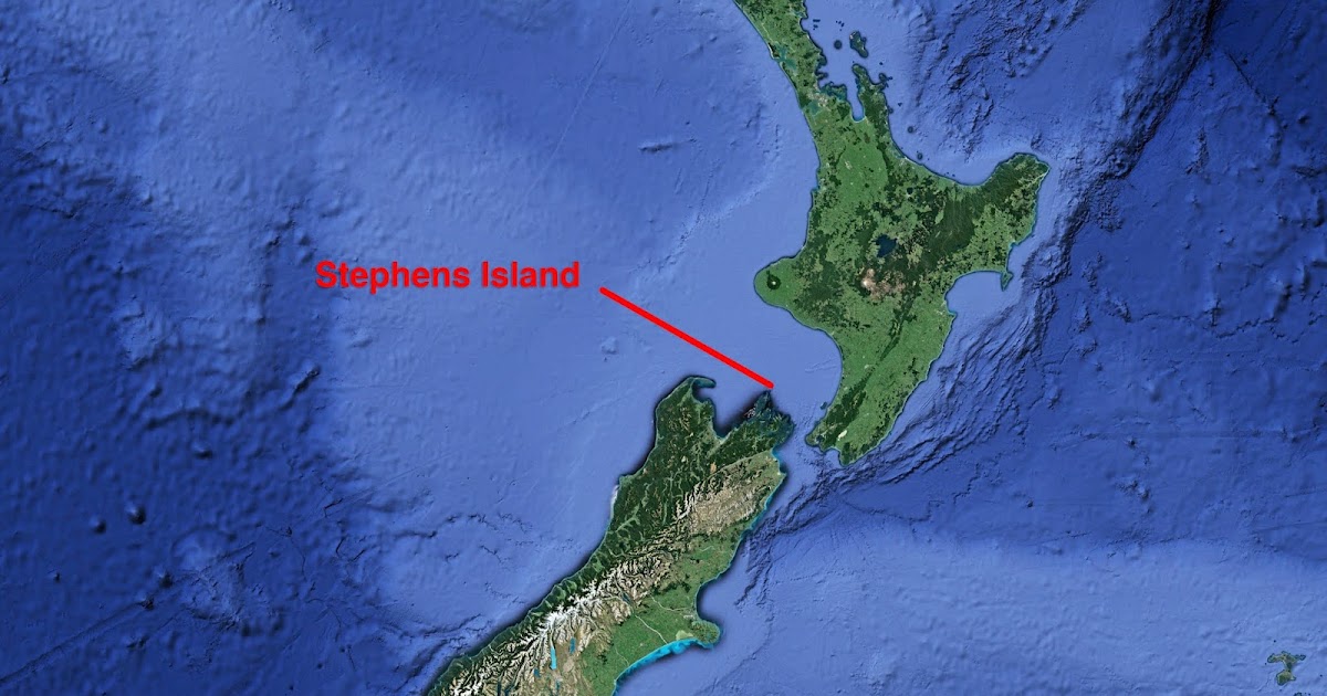 Zoology Jottings: Stephens Island: Lyall’s Wren—Scientific Pride and ...